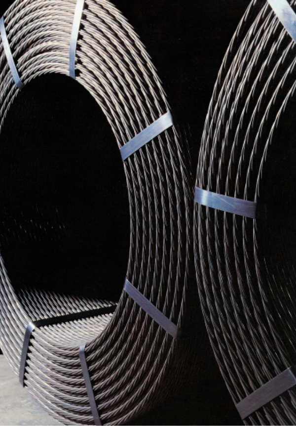 ความเป็นมา – Rayong wire ,Thailand best steel wire Industries